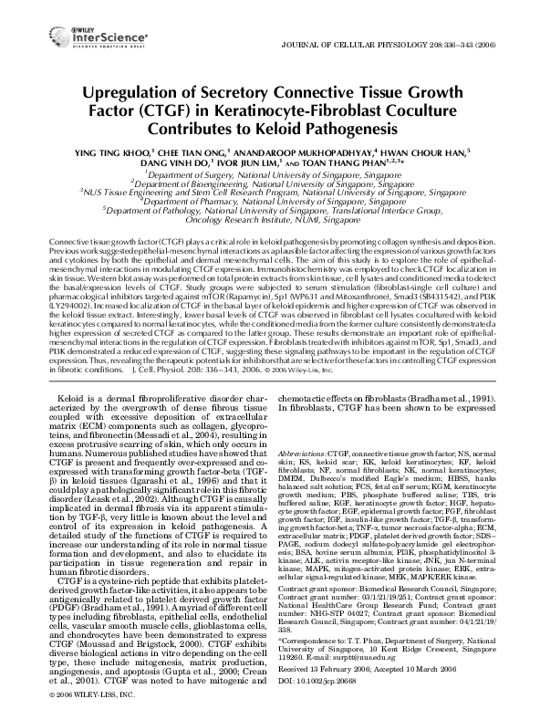 (PDF) Upregulation of secretory connective tissue growth factor (CTGF) in keratinocyte ...