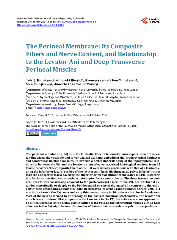 (PDF) The Perineal Membrane: Its Composite Fibers and Nerve Content ...