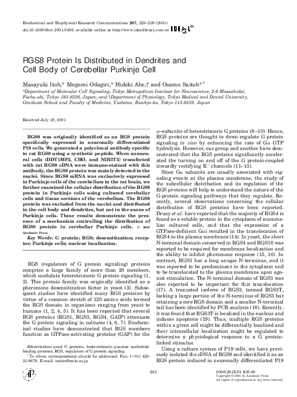 (PDF) RGS8 Protein Is Distributed in Dendrites and Cell Body of ...
