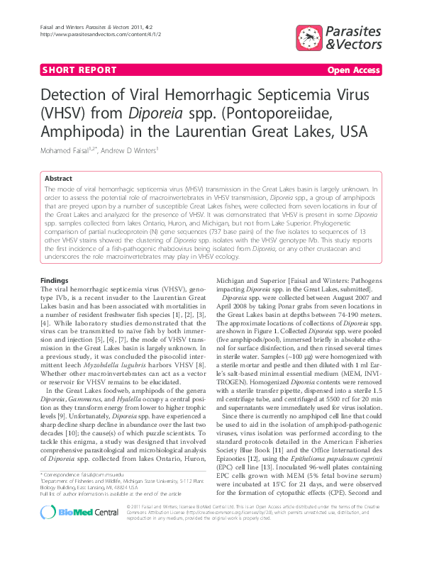 (PDF) Detection of Viral Hemorrhagic Septicemia Virus by Quantitative ...