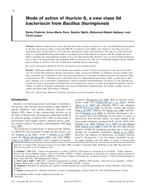 (PDF) Mode of action of thuricin S, a new class IId bacteriocin from ...