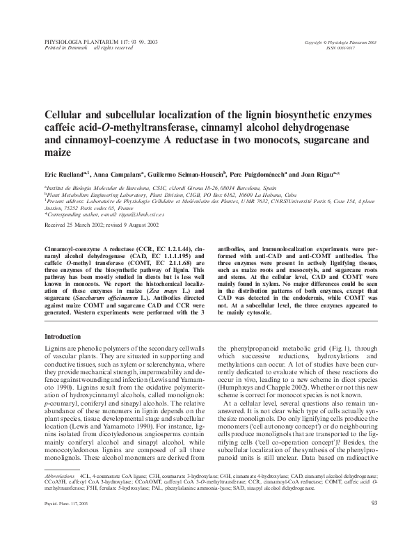 (PDF) Cellular and subcellular localization of the lignin biosynthetic ...