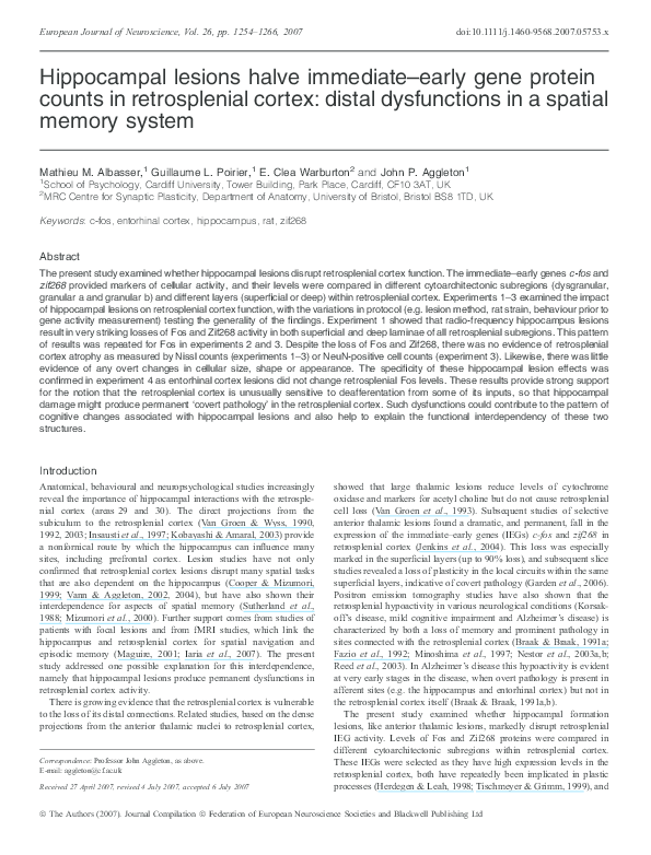(PDF) Hippocampal lesions halve immediate-early gene protein counts in retrosplenial cortex ...