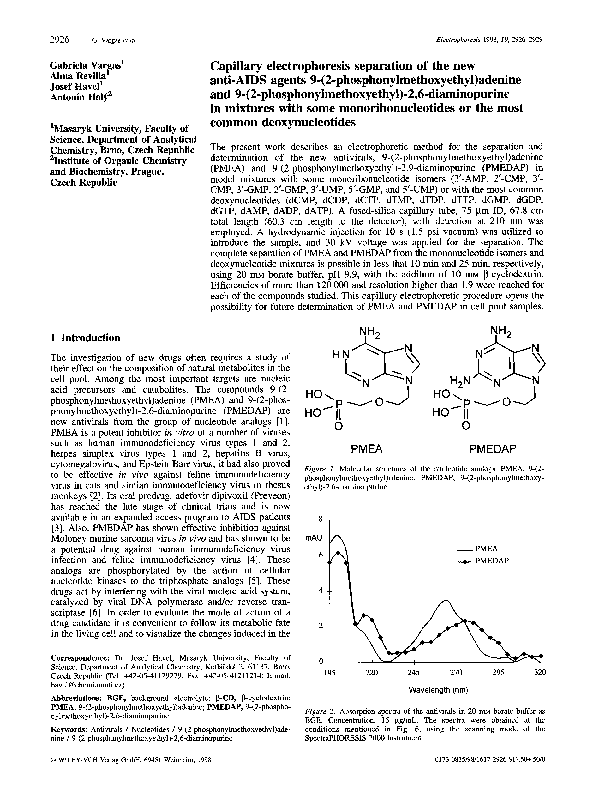 (PDF) Capillary electrophoresis separation of the new anti-AIDS agents ...