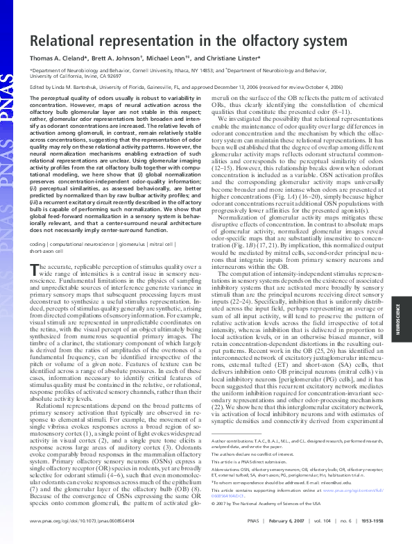 (PDF) Relational Representation in the Olfactory System