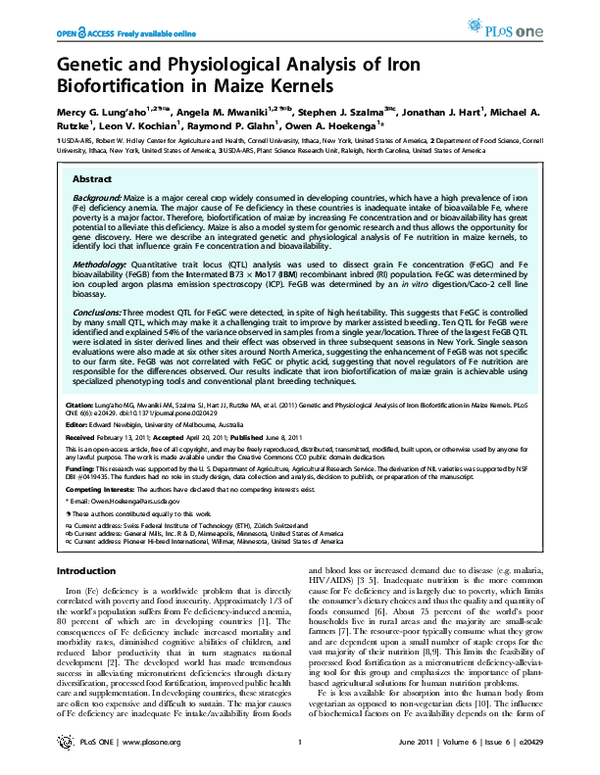 (PDF) Genetic and Physiological Analysis of Iron Biofortification in ...