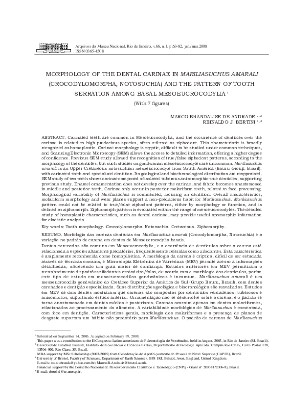 (PDF) Morphology of the dental carinae in Mariliasuchus amarali ...