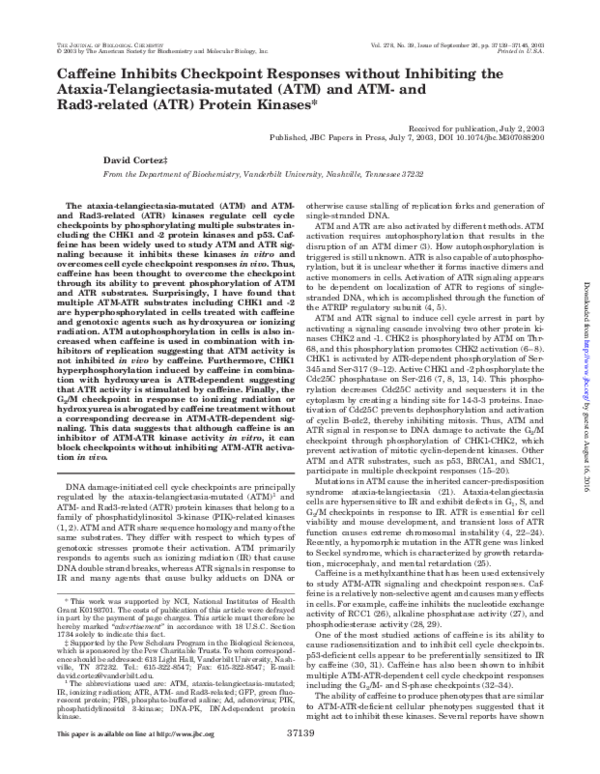 (PDF) Caffeine Inhibits Checkpoint Responses without Inhibiting the ...