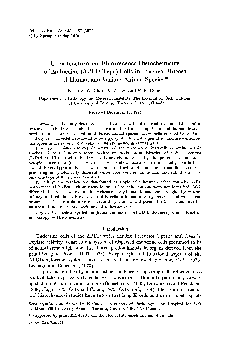 (PDF) Ultrastructure and fluorescence histochemistry of endocrine (APUD ...