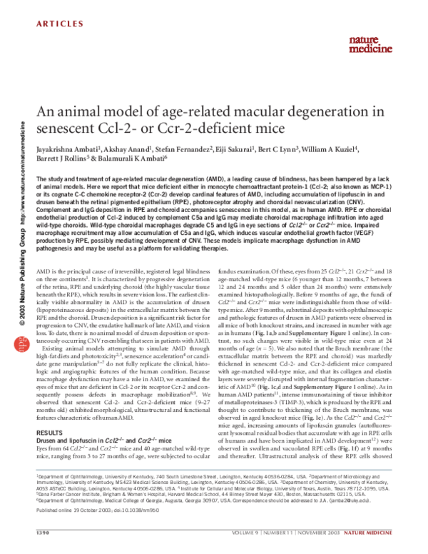 (PDF) An animal model of age-related macular degeneration in senescent ...