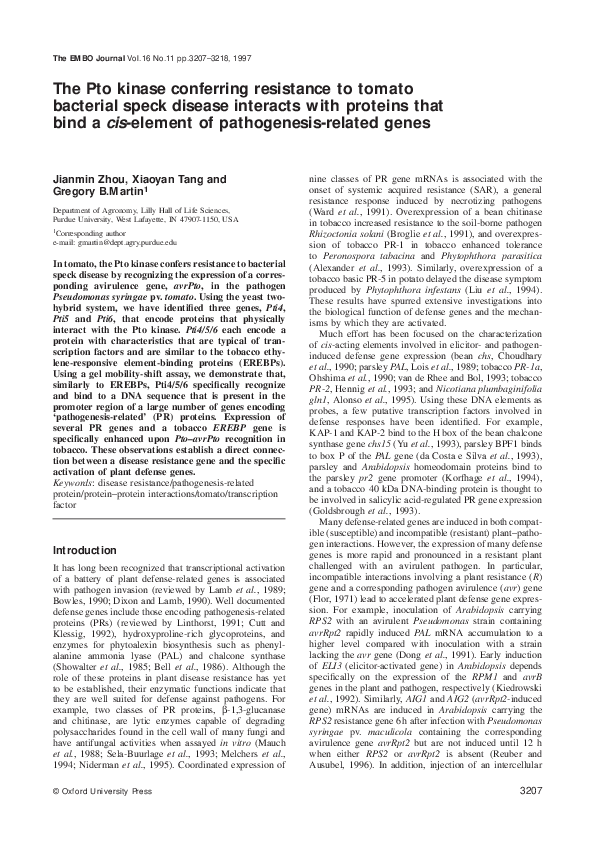 (PDF) The Pto kinase conferring resistance to tomato bacterial speck ...
