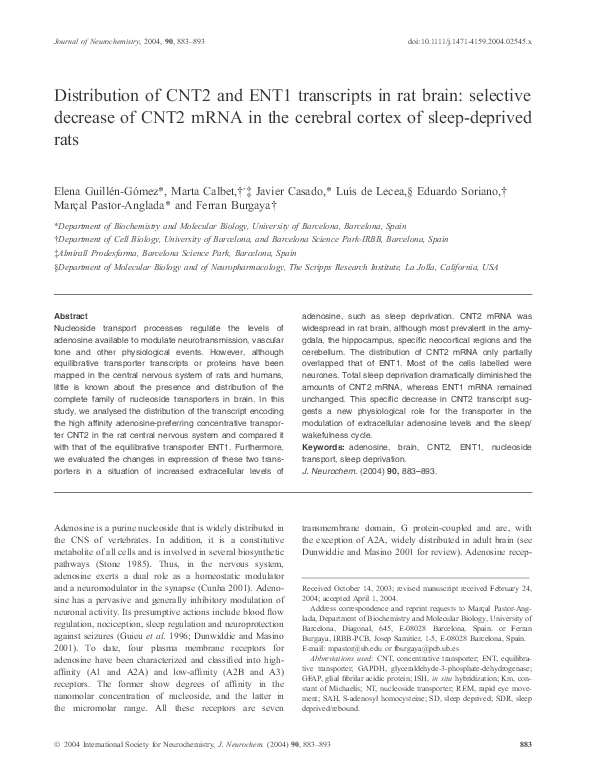 (PDF) Distribution of CNT2 and ENT1 transcripts in rat brain: selective ...