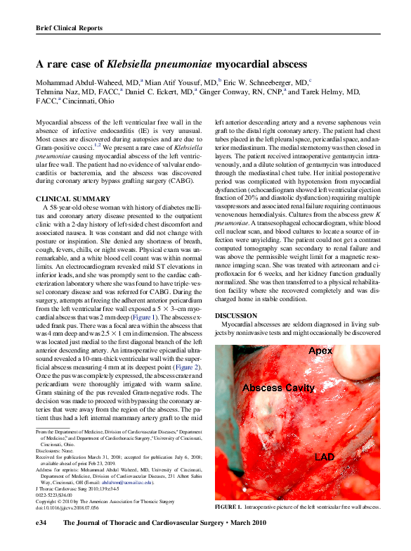 (PDF) A rare case of Klebsiella pneumoniae myocardial abscess