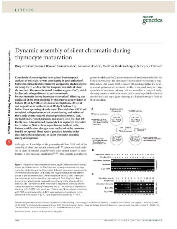 (PDF) Dynamic assembly of silent chromatin during thymocyte maturation