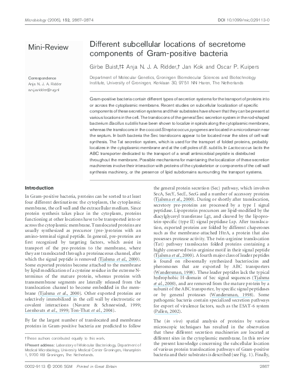 (PDF) Different subcellular locations of secretome components of Gram ...