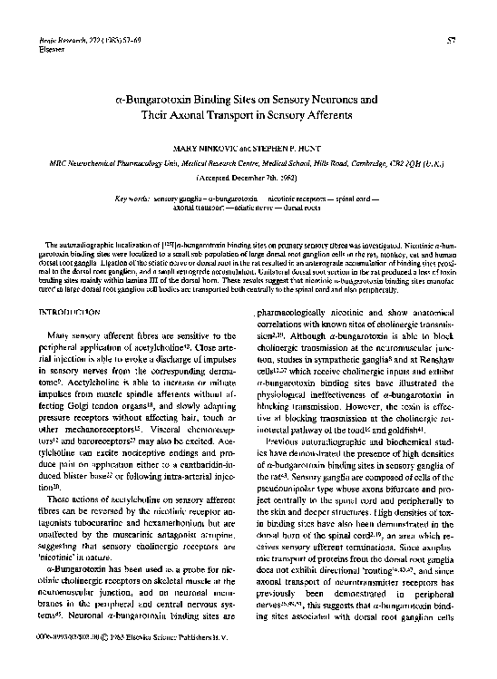 (PDF) α-Bungarotoxin binding sites on sensory neurones and their axonal ...