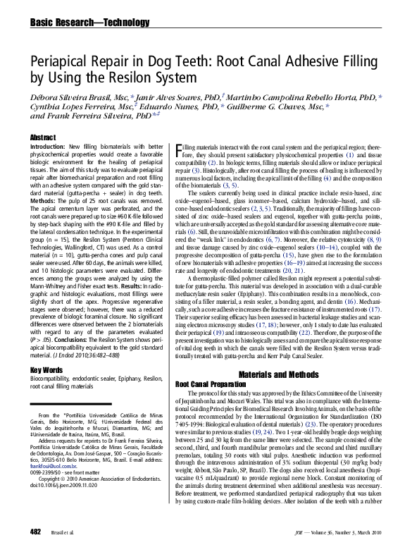 (PDF) Periapical Repair in Dog Teeth: Root Canal Adhesive Filling by ...