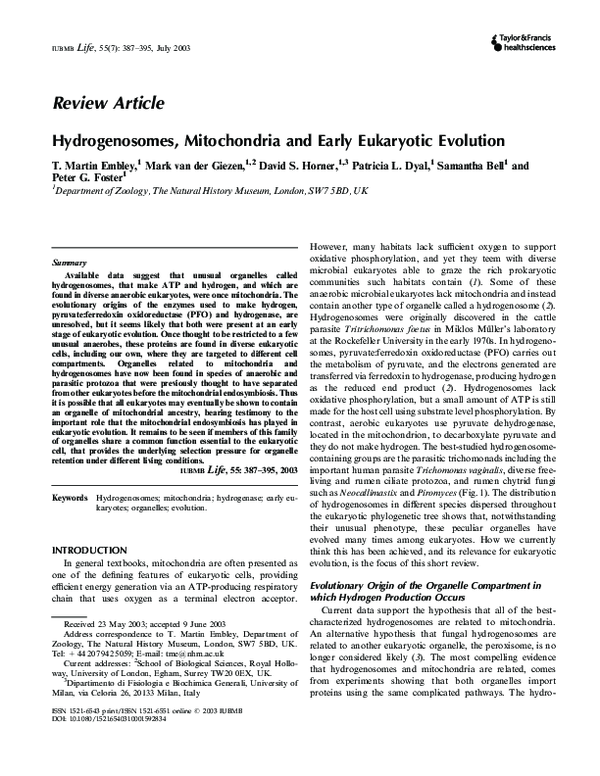 (PDF) Hydrogenosomes, Mitochondria and Early Eukaryotic Evolution