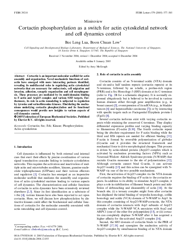 (PDF) Cortactin phosphorylation as a switch for actin cytoskeletal ...
