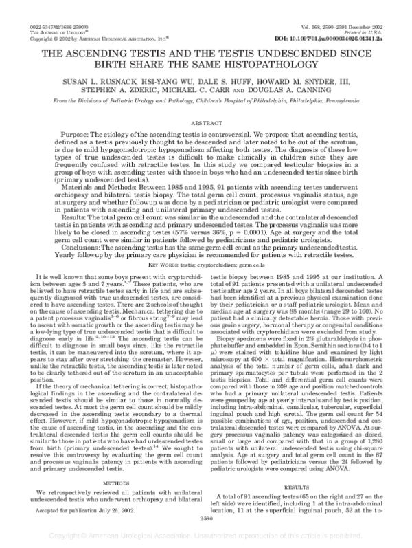 (PDF) The Ascending Testis and the Testis Undescended Since Birth Share ...