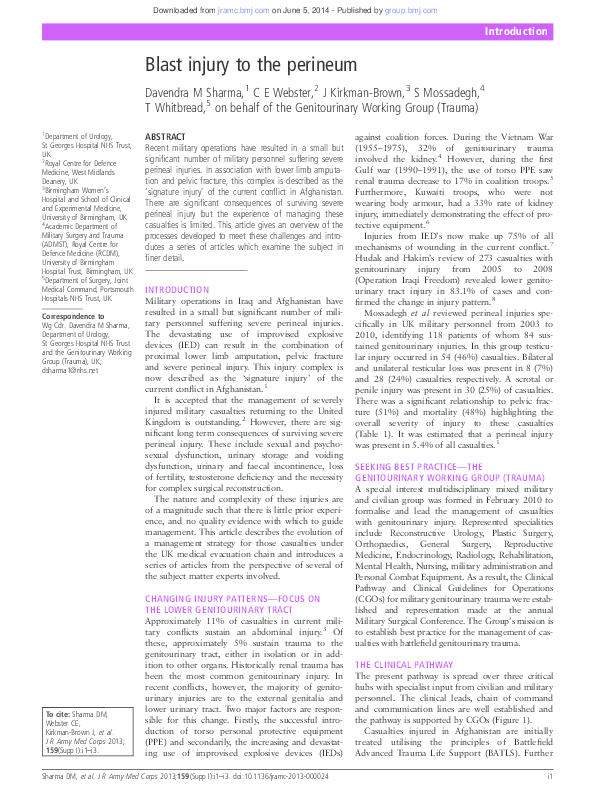 (PDF) Blast injury to the perineum