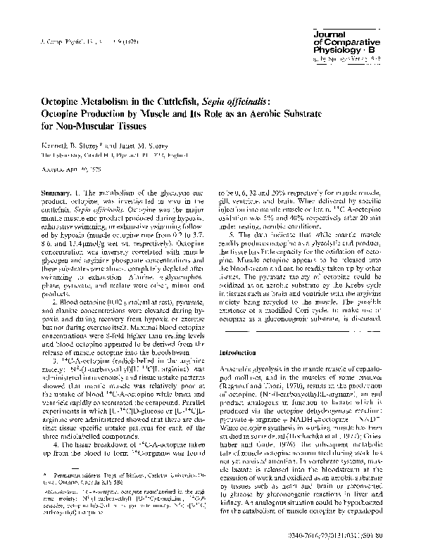 (PDF) Octopine metabolism in the cuttlefish,Sepia officinalis: Octopine ...
