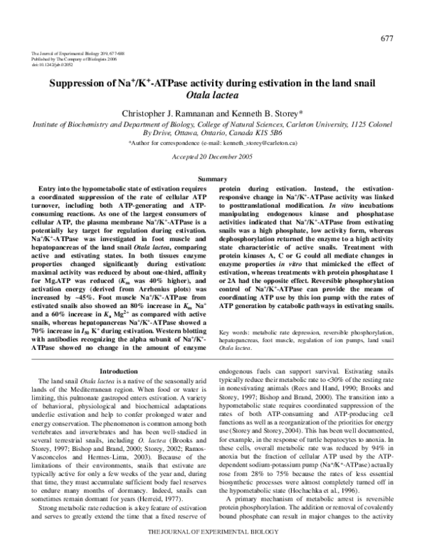 (PDF) Suppression of Na+/K+-ATPase activity during estivation in the ...