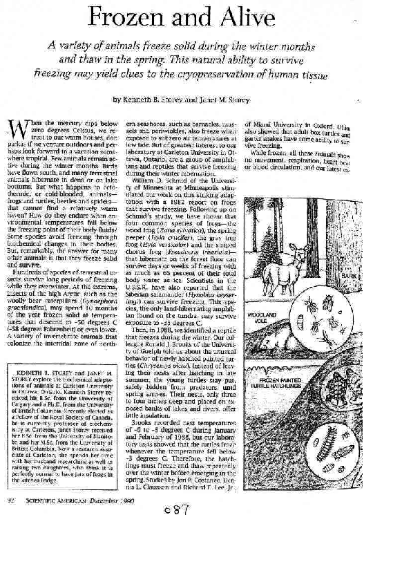 (PDF) Frozen and Alive