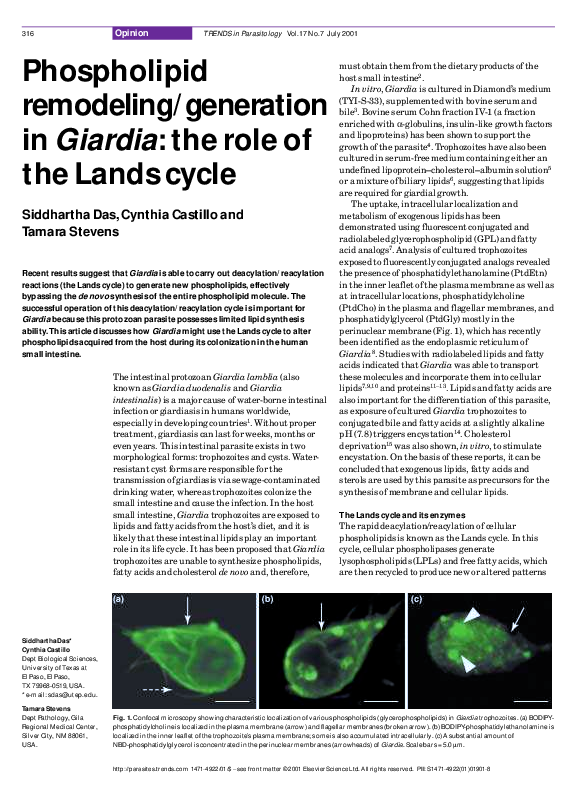 pdf-phospholipid-remodeling-generation-in-giardia-the-role-of-the