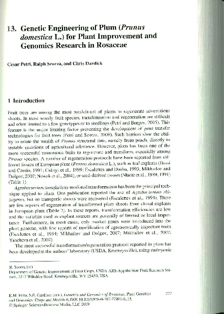 (PDF) Genetic Engineering of Plum ( Prunus domestica L.) for Plant ...