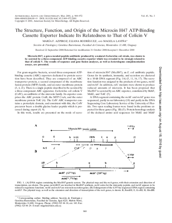 (PDF) The Structure, Function, and Origin of the Microcin H47 ATP ...