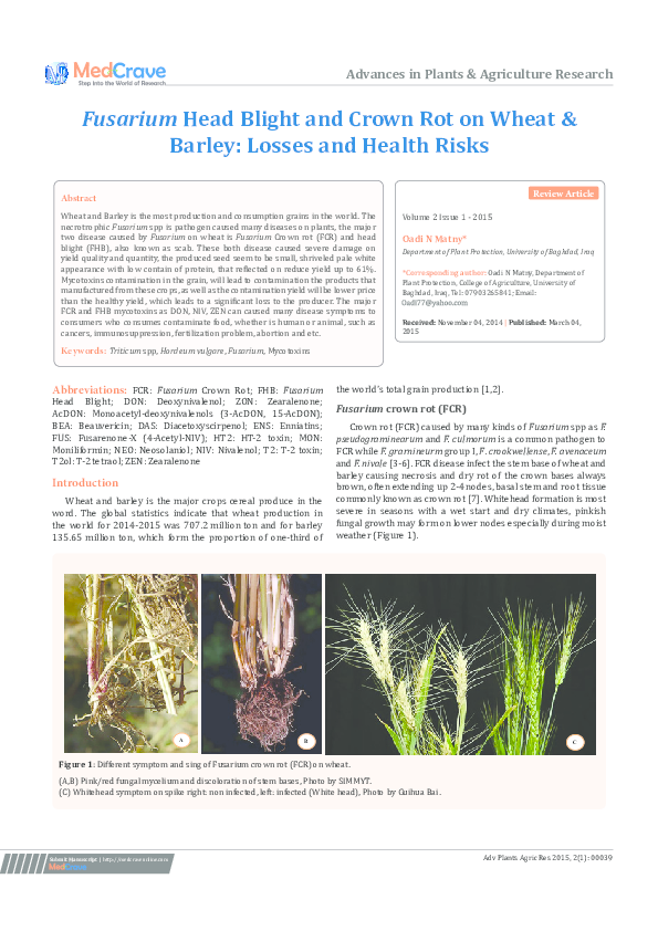 (PDF) Fusarium Head Blight and Crown Rot on Wheat & Barley: Losses and ...