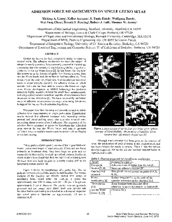(PDF) Adhesion force measurements on single gecko setae
