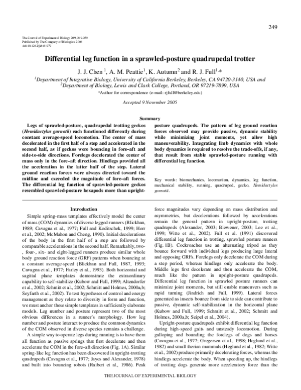 (PDF) Differential leg function in a sprawled-posture quadrupedal trotter