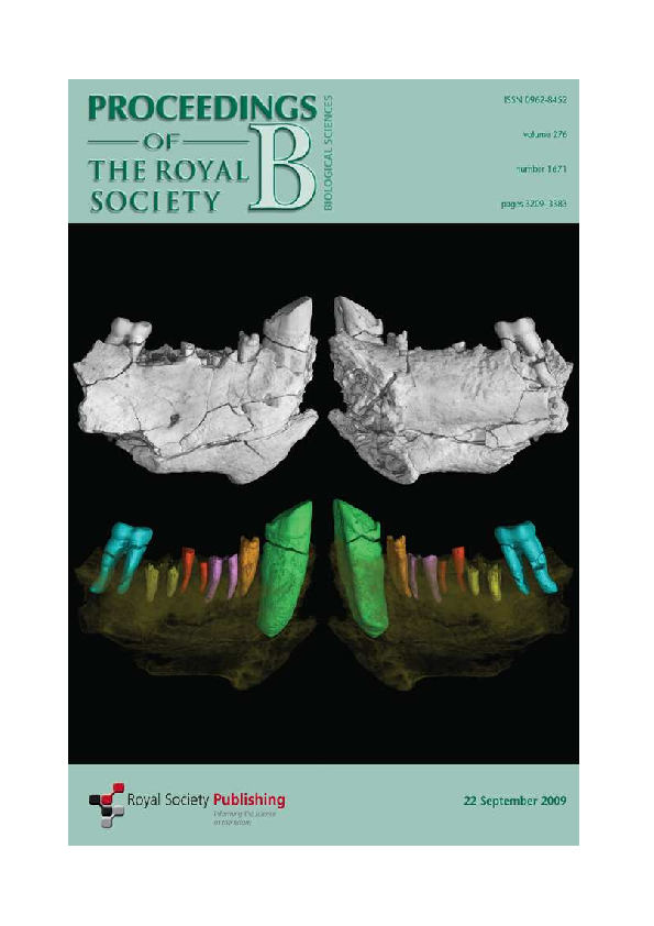 (PDF) New Eocene Primate and Burmese Amphipithecids