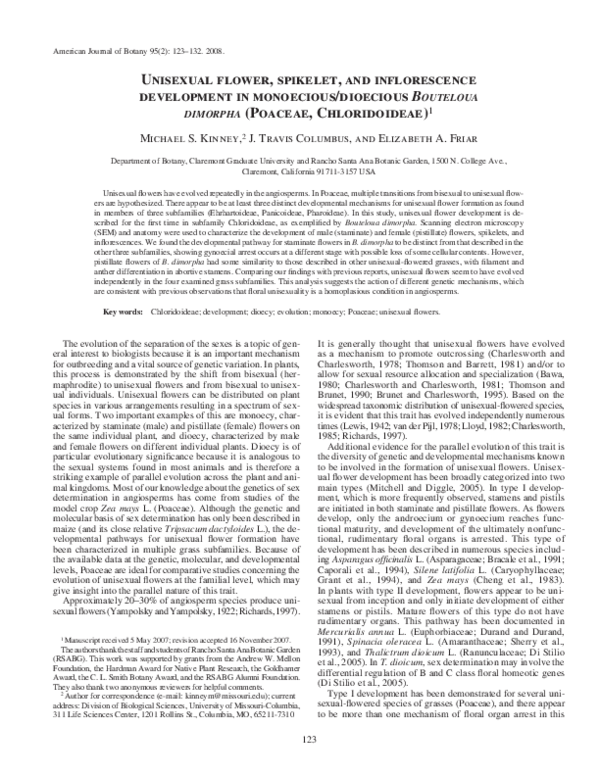 (PDF) Unisexual flower, spikelet, and inflorescence development in ...