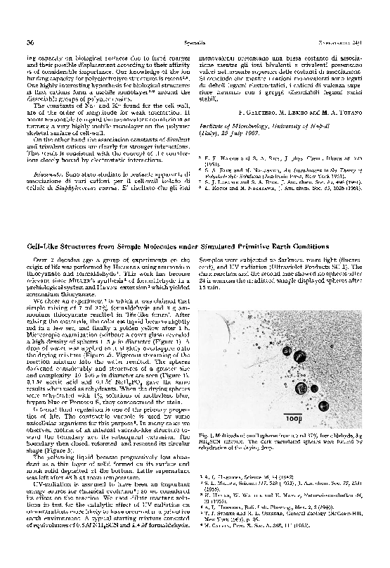 (PDF) Cell-like structures from simple molecules under simulated ...