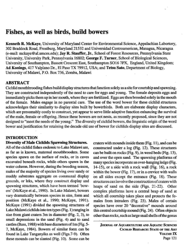(PDF) Fishes, as well as birds, build bowers | Ad Konings - Academia.edu