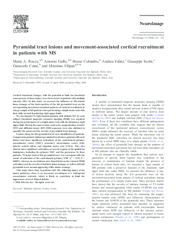 (PDF) Pyramidal tract lesions and movement-associated cortical ...