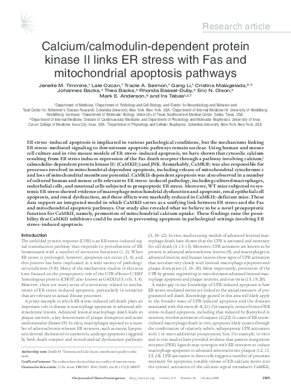 (PDF) Calcium-calmodulin dependent protein kinase II (CaMKII): A main signal responsible for ...
