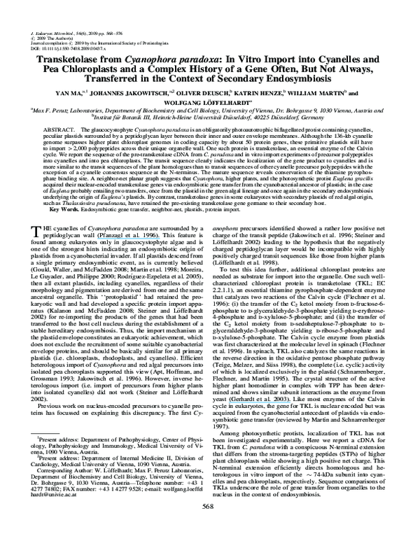 (PDF) Transketolase from Cyanophora paradoxa : In Vitro Import into ...