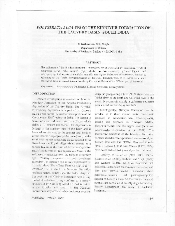 (PDF) Polystrata alba from the Ninniyur formation of the Cauvery Basin ...