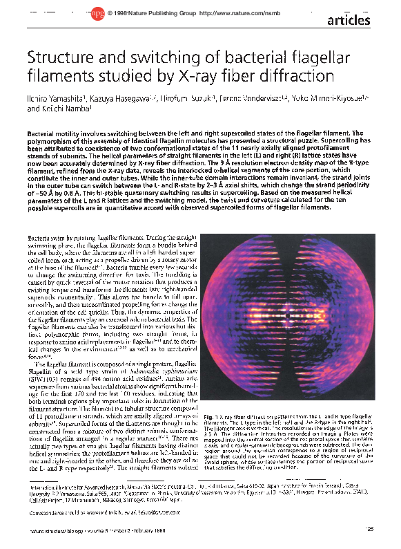 (PDF) Structure and switching of bacterial flagellar filaments studied by X-ray fiber diffraction