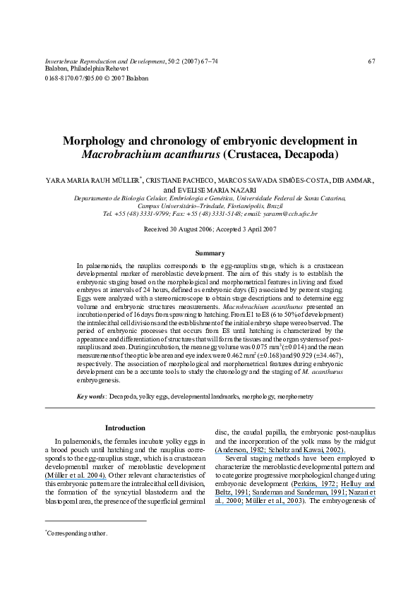 (PDF) Morphology and chronology of embryonic development in Macrobrachium acanthurus (Crustacea ...