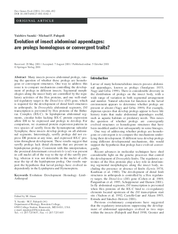 (PDF) Evolution of insect abdominal appendages: are prolegs homologous ...