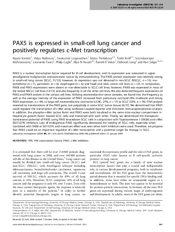 (PDF) PAX5 is expressed in small-cell lung cancer and positively ...
