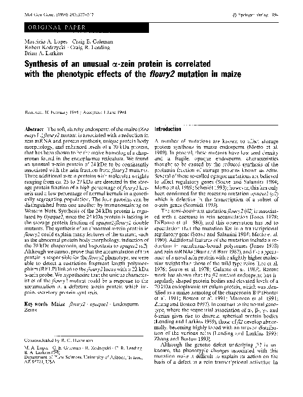 (PDF) Synthesis of an unusual ?-zein protein is correlated with the phenotypic effects of the ...