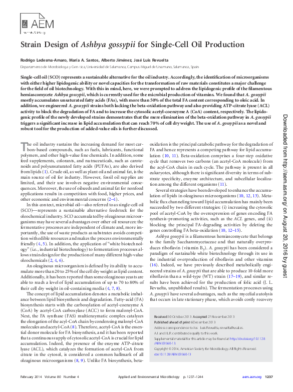 (PDF) Strain Design of Ashbya gossypii for Single-Cell Oil Production