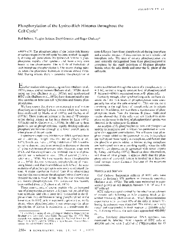 (PDF) Phosphorylation of the lysine-rich histones throughout the cell cycle