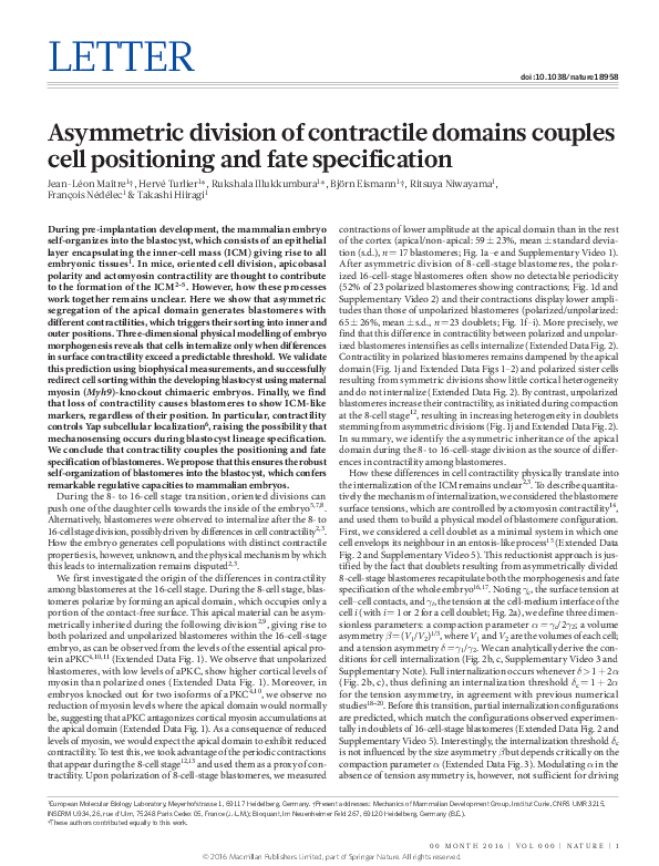 Pdf Asymmetric Division Of Contractile Domains Couples Cell Positioning And Fate Specification